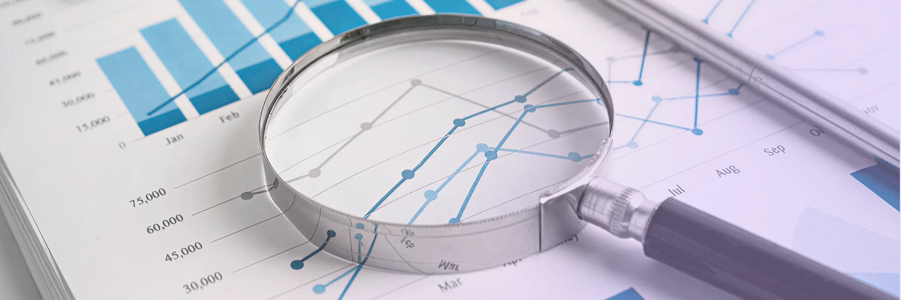 Professional Tax Filing Services: What to Expect from Experts